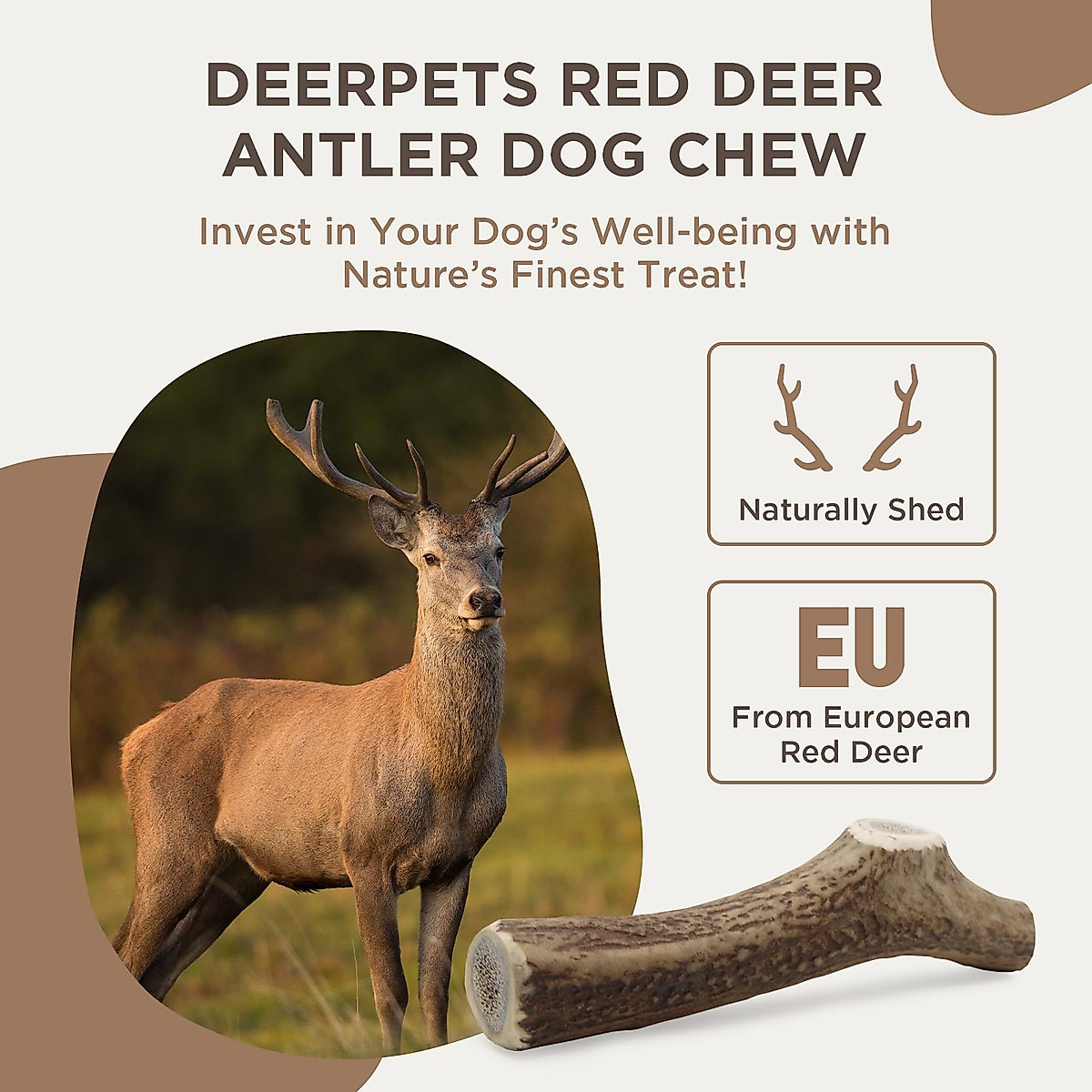 Premium Deer Antlers for Dogs – Natural Dental Chew for Aggressive Chewers – Long-Lasting Antler Chews, Odor-Free, Mess-Free, 1 Count (Medium)