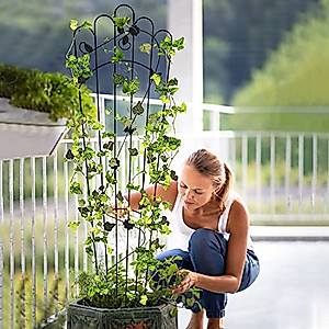 XYADX Metal Detachable Trapezoidal Garden Trellis for Climbing Plants Outdoor 60 Inches Sturdy Patio Plant Support for Indoor Plants Trellis for Rose, Vegetable Flower, Backyard Pack of 4 - Black