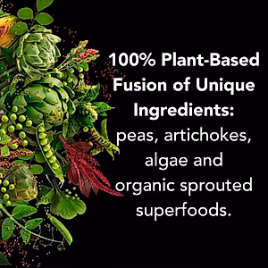 PlantFusion Complete Vegan Protein Powder - Plant Based Protein Powder With BCAAs, Digestive Enzymes and Pea Protein - Keto, Gluten Free, Soy Free, Non-Dairy, No Sugar, Non-GMO - Vanilla Bean 2 lb