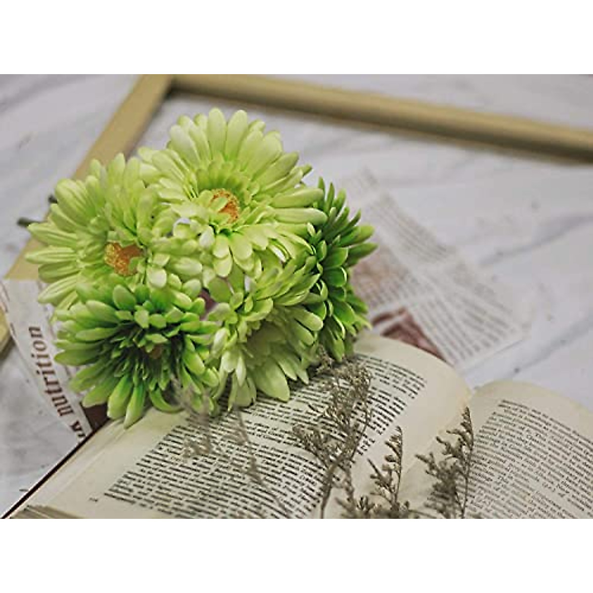 TOPIA Artificial African Daisies Flowers African Daisy Silk Flowers Artificial Gerbera Daisies Pack of 10 (Green)