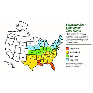 Rescue! Carpenter Bee TrapStik – Also Works on Wasps, Mud Daubers