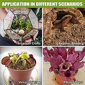 10 Oz Natural Sphagnum Moss for Plants- 22QT Dried Orchid Moss for Repotting Moisture Holding Plant Moss for Potted Plants Indoor Plant Growing Medium for Carnivorous Plants Succulent