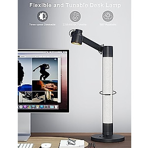 HCYHNB LED Desk/Task Lamp for Home Office, 600LM Eye-Caring Reading Light, 360°Rotatable Swing Arms, Dimmable Table Lamp with Atmosphere Lighting for Desk Bedside