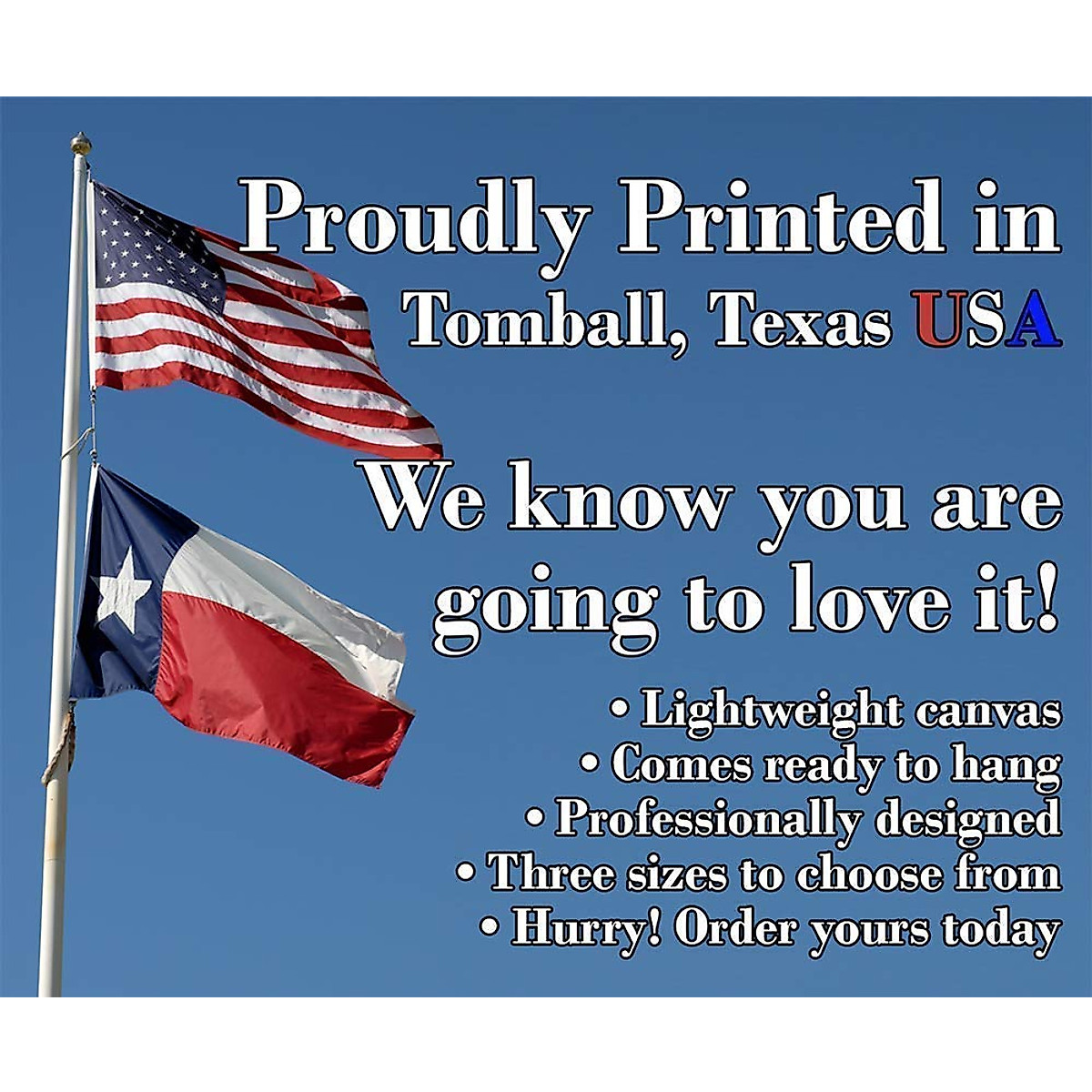 Personalized Hangar Airplane Print - Custom Print with Name and City State, Pilot Name Print and Aviation Sign, Antique Airplane Decor and Man Cave Gift, Rustic Metal Style Canvas Print 12x24