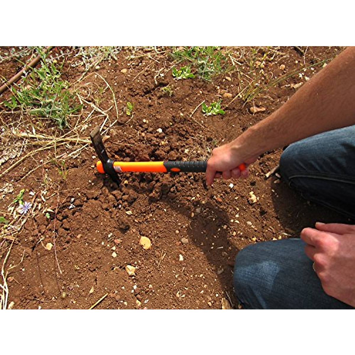 TABOR TOOLS Pick Mattock with Fiberglass Handle, Garden Pick, Great for Loosening Soil, Archaeological Projects, and Cultivating Vegetable Gardens or Flower Beds. J62A. (Small 15 Inch) 