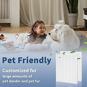 2 Pack C545 True HEPA Replacement Filter S Compatible with Winix C545, B151, P150, 9300 Air Purifier Replacement for Winix S Filter Part 1712-0096-00 and 2522-0058-00