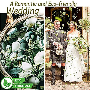 1600+ Small Preserved Real Eucalyptus Leaves, 100% Natural Bulk Eucalyptus, Biodegradable Wedding Leaves Confetti for Anniversaries, Birthday, Graduation, Bridal Showers, Baby Shower Party Decor