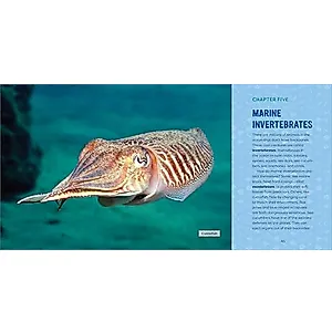 Ocean Animals for Kids: A Junior Scientist's Guide to Whales, Sharks, and Other Marine Life