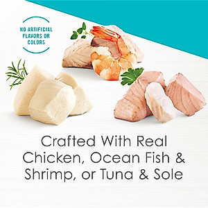 Fancy Feast Appetizers Gourmet Cat Complement Bundle 10 Can in Total, 2 Each: Salmon, Tuna, Chicken, Oceanfish and Skipjack Tuna (1.1 Oz) Plus a Noisy Cat Toy Ball and Magnet