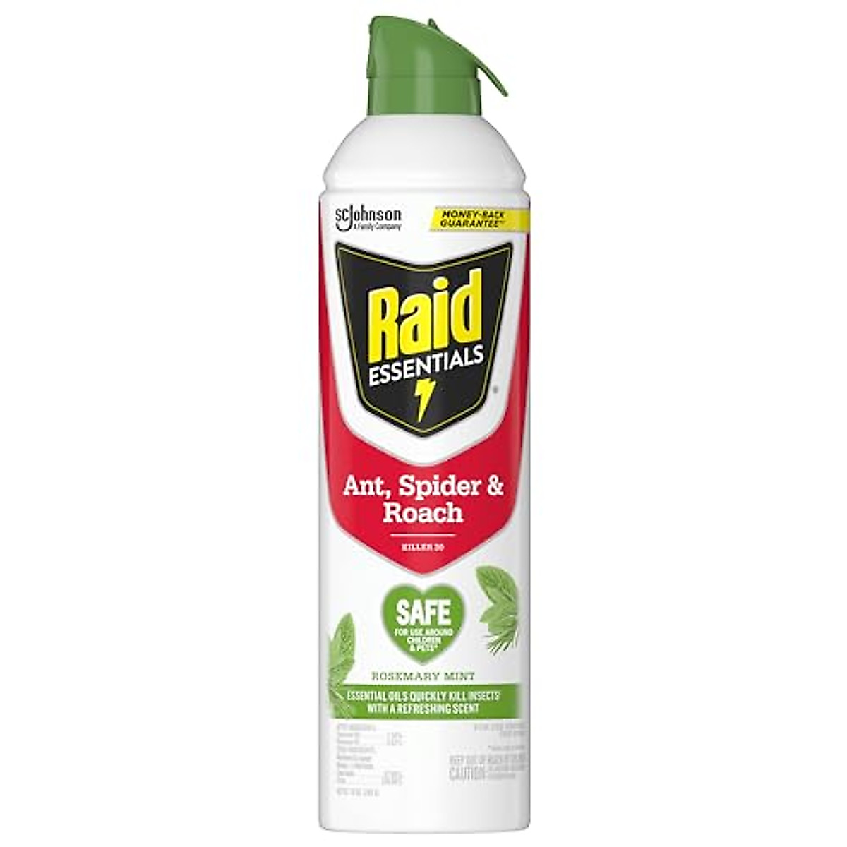 Raid Essentials Ant, Roach & Spider Killer Aerosol Spray, Child & Pest Safe, Kills Insects Quickly, for Indoor Use 10oz