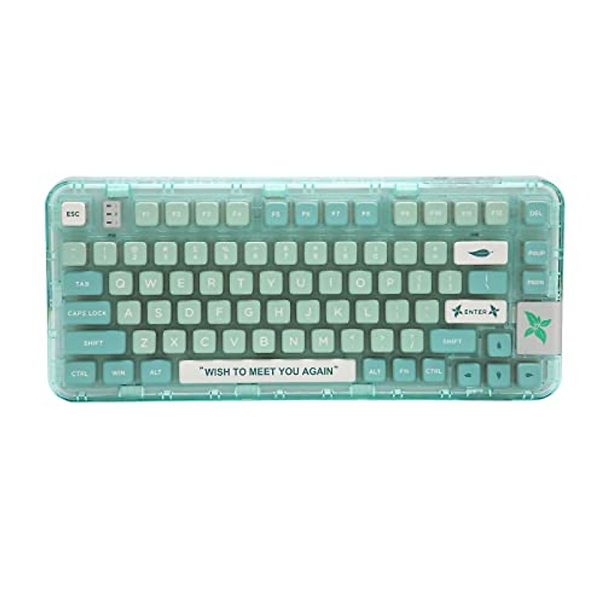 Acogedor Mechanical Keyboard RGB Backlit 80 Keys, BT 2.4ghz Wireless Type C Trimode Gaming Keyboard with Hot Swappable for Win, OS X Laptop, iOS, Android (Green)