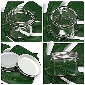 Waymind 4oz Glass Jars With Silver Lids,Mason Jars,Glass Jars with Airtight lids,Ideal for Honey,Jam,Baby Foods,Wedding Favor,DIY Magnetic Spice Jars,Mini Spice Jars for Kitchen,Set of 40