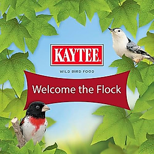Kaytee Wild Bird Seed & Mealworm Seed Cake Food For Bluebirds, Chickadees, Woodpeckers and More, 1.4 Pound