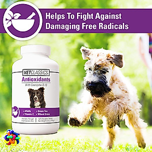 Vet Classics Antioxidants with Coenzyme Q-10 for Dogs, with Alfalfa, Green Tea, Vitamin C, & Wheat Grass, 120 Chewable Tablets