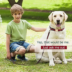 Stylish and Elegant Dog Collar,Adjustable Metal Belt Buckle, Durable High Density Fabric for Comfortable Pet Dog Collar and Dog Leash Set Packing for Puppy Small Dogs