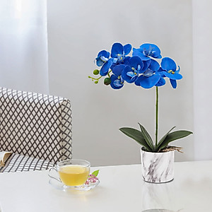 U'Artlines Artificial Orchid in White Pot Fake Phalaenopsis Flower Real Touch with Vase for Table Office Home Party Decoration (Medium, White)