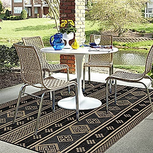 HiiARug 4'x6' Indoor Outdoor Rugs Plastic Straw Mat RV Rug Patio Rugs Outdoor Waterproof Reversible Lightweight Area Rug for Deck, Backyard, Picnic, Camping(Black)