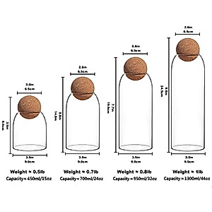 IVAILEX Glass Jars with Cork Lids, Candy Jar with Lid, Coffee jar for Counter, Cookie Jar with Airtight Lids, Clear Glass Jar for Candy, Tea, Coffee Bean, Sugar, Spices, Apothecary etc (450ml/15oz)