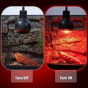 Makmzoon 2 Pack 100W Reptile Heat Lamp Bulb UVA Basking Spot Heat Lamp Reptile Light Tortoise Light Turtle Bulb for Animals Bearded Dragon