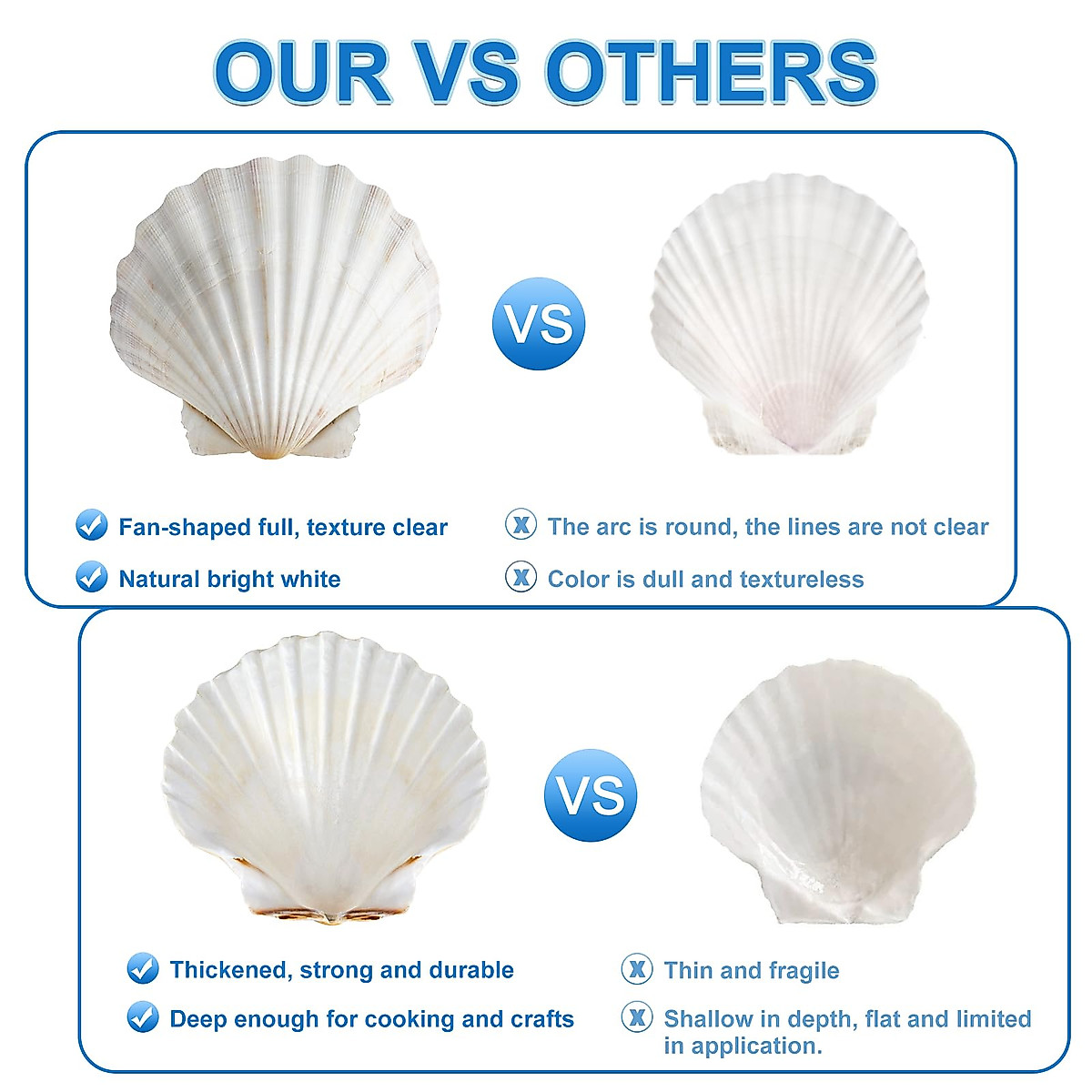 QEQEKAKA 6PCS Scallop Shells 4‘’-4.5" Natural Sea Shells White Hawaiian Scallop Shells for Baking DIY Craft Home Vase Fillers & Beach Wedding Party Decor