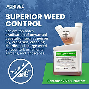 Agrisel GlyPhoSel Pro Weed Killer, Tackles Hard-to-Kill Weeds, Low-Odor, Easy Mixing, Pet Safe, 32 Ounces