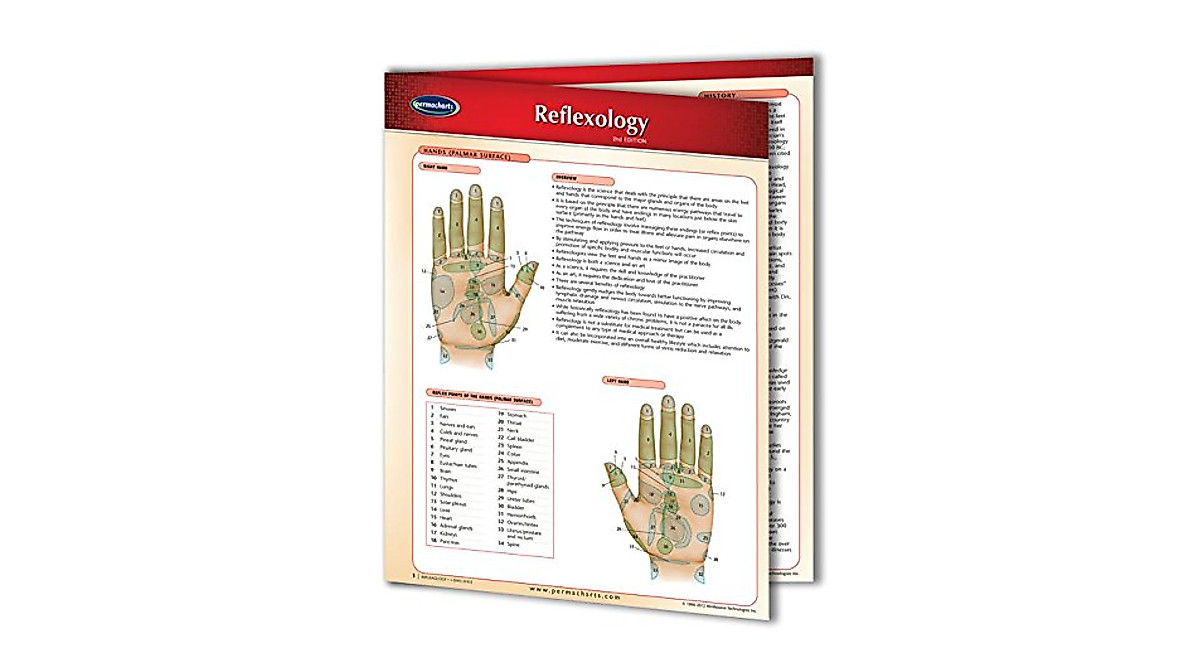 Reflexology Chart | Essential Body Reflex Points & Organ Connection