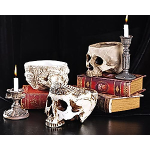 IBWell Modern 6 inch Large Funny Resin Skull Shaped Head Design Flower Pot Planter Container, Decoration Flowerpot Props Home Office Desk Decor