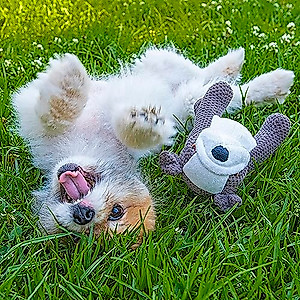 Unique Bulldog Plush Toy - Adorable Crinkle Toy with Squeaker - Suitable for Puppies to Large Dogs