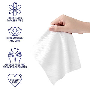 TMD Healthcare WETPET Wipes for Dogs, Lemon Scented, Grooming Wipes Remove Dirt & Grime, Deodorizing Easy to Use for Dogs & Puppies, Safe on Skin and Fur Single Pack