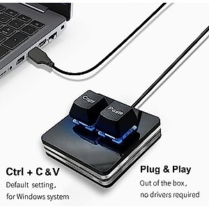 BTXETUEL Copy and Paste 2-Key Keyboard SAYO OSU Keypad Hotswap One Handed Mechanical Gaming Keyboard Cherry Switch RGB Backlit Mini USB Keypad for macros or Rhythm Games