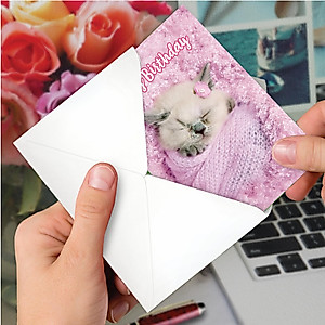 The Best Card Company Birthday Greeting Card with 5 x 7 Inch Envelope (1 Card) Bday Fluffy Furballs C7168ABDG
