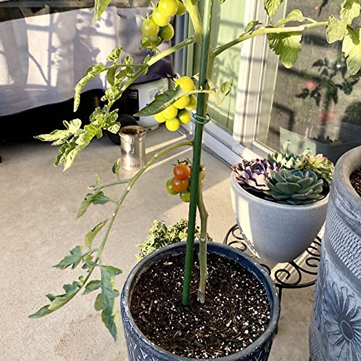 Garden Plant Stakes 24 Inch 2Ft Steel Plant Stick Support, Tomato Stakes for Growing Climbing Plants, Pack of 25