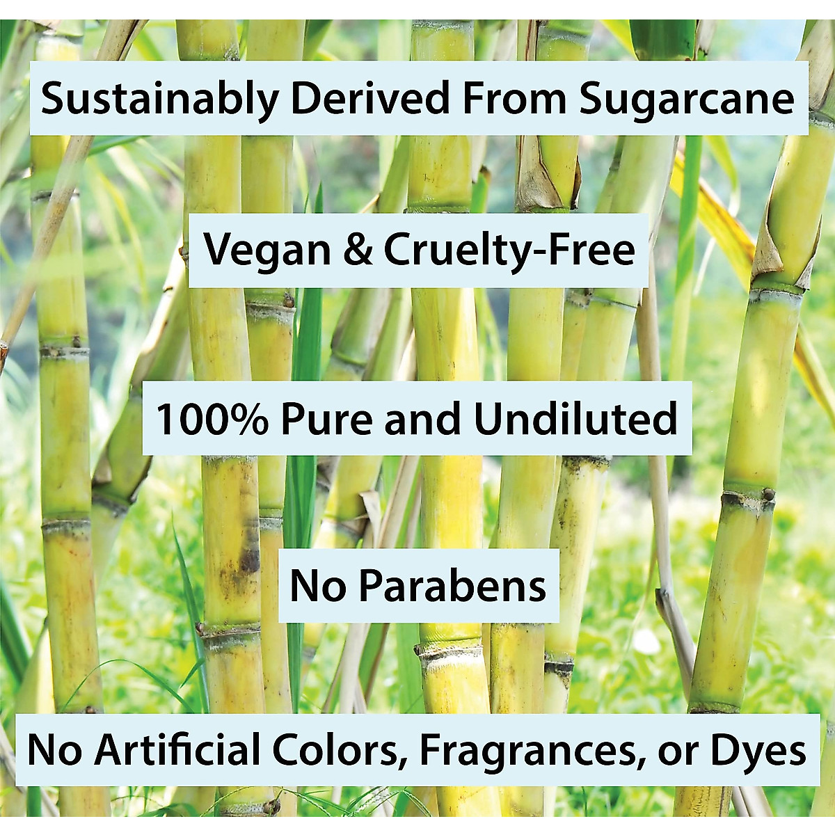 Amara Beauty Squalane Oil Moisturizer with 100% Pure Plant Derived Squalane for Face, Body, Skin and Hair - Face Oil 2 fl. oz.