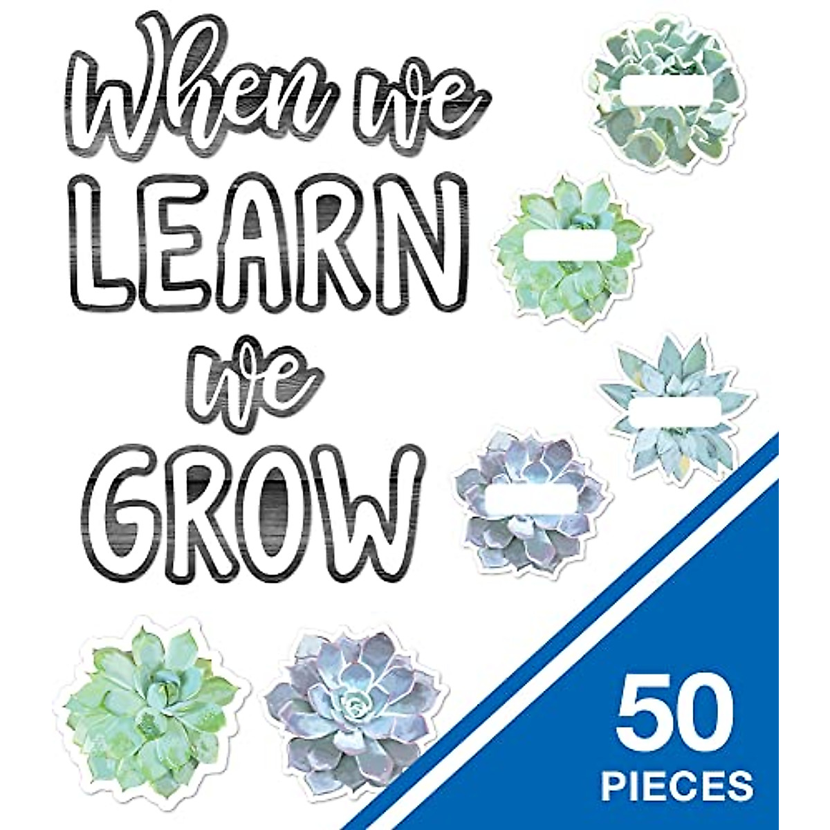 Schoolgirl Style - Simply Stylish | When We Learn We Grow Bulletin Board Set