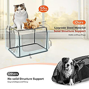 Reerooh Large Cat Carrier 24"x17"x17", Soft Dog Crate with 2 Bowls, Collapsible Travel Pet Carrier Bag for Cats Dogs Puppies Kittens (Blue)