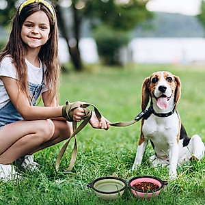 Dog Bowl Pet Collapsible Bowls, 2 Pack Collapsible Dog Water Bowls for Cats Dogs, Portable Pet Feeding Watering Dish for Walking Parking Traveling with 2 Carabiners (Small, Fairy Pink+Sprout Green)