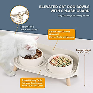 Cat Bowl for Food and Water - Elevated Dog Bowls with Stand - Raised Dog Cat Bowl Set - Double pet Bowl Dish for Small Dog | Cat | Puppy | Rabbit and with Splash Proof Guard for Less Mess