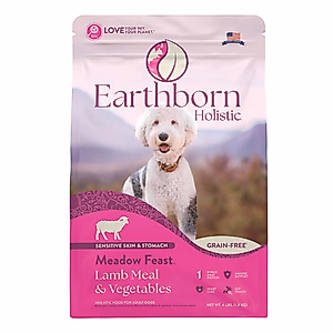 Earthborn Holistic Meadow Feast Lamb Meal & Vegetables Sensitive Skin & Stomach Grain Free Dry Food for Adult Dogs (4 lb. Bag)