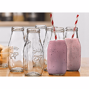 Circleware Dairy Milk Glass Bottles, 10.5 oz, Clear