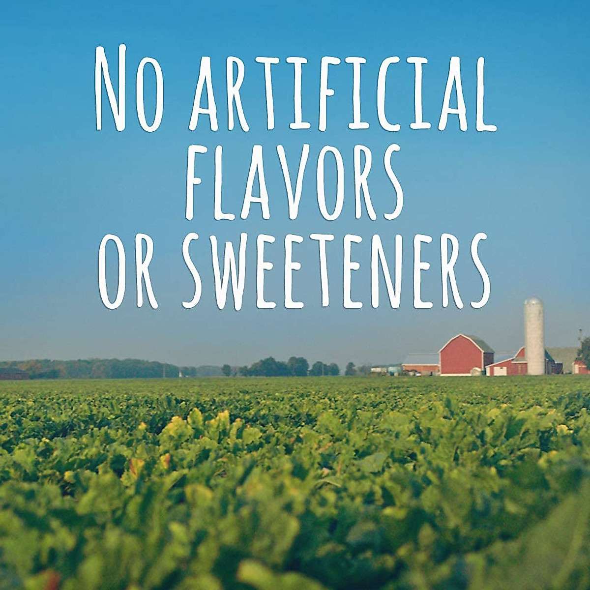 Gerber Graduates Fruit & Veggie Melts - Truly Tropical Blend, 1-Ounce (Pack of 4)