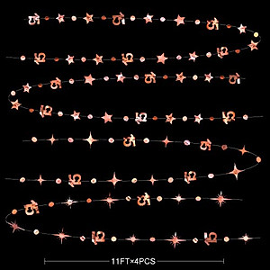 Rose Gold 15th Birthday Decorations Number 15 Circle Dot Twinkle Star Garland Metallic Hanging Streamer Bunting Banner Backdrop for Girls Boys Fifteen Year Old Birthday 15th Anniversary Party Supplies