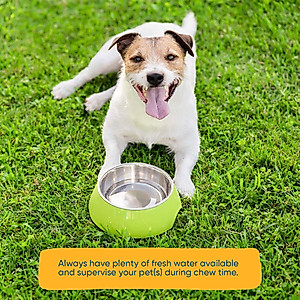 123 Treats Beef Collagen Bagel - (3 inches - 6 Count) Peanut Butter Flavor Dog Chews, Natural High-Collagen Treats for Dogs, Long-Lasting Chew Rings for All Dog Sizes