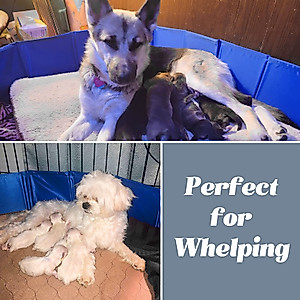 Artilife Whelping Pen for Dogs,Whelping Box for Dogs and Puppies,Dog Birth Supplies,Portable Whelping Pool Whelping Box,Whelping Box for Small Dogs(32" Dia.x8 H)
