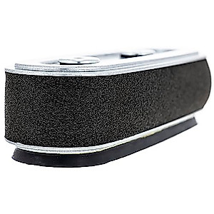 Honda 17210-Z1V-003 Air Filter