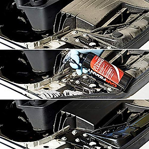 Carfidant Ultimate Car Interior Cleaner - Automotive Interior & Exterior Cleaner All Purpose Cleaner for Car Carpet Upholstery Leather Vinyl Cloth Plastic Seats Trim Engine Mats - Universal Car Cleaning Kit