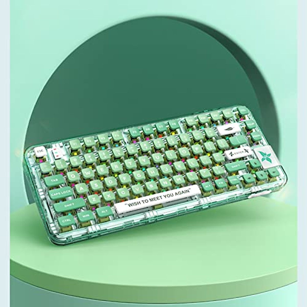 Acogedor Mechanical Keyboard RGB Backlit 80 Keys, BT 2.4ghz Wireless Type C Trimode Gaming Keyboard with Hot Swappable for Win, OS X Laptop, iOS, Android (Green)