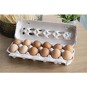 CROKI Blank Egg Cartons - 110 Count - 12 Egg Capacity, Unprinted, Strong Biodegradable Pulp Fiber, Perfect for Storing up to 12 Small to Medium Chicken Eggs