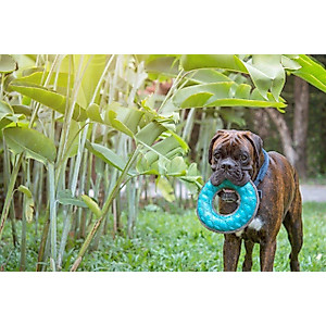 SuperChewy Tough Floating Dog Water Toy Strong Natural Rubber | Great Dog Fetch Toy | Pool Swimming Toy for Puppy| Durable Training Toy for Non-Aggressive Chewers