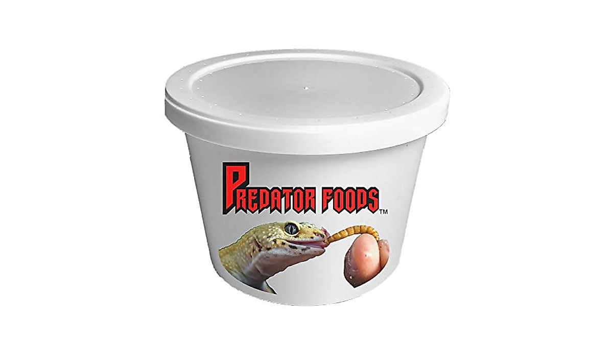 Bulk Live Mealworms - 500 Count by Predator Foods