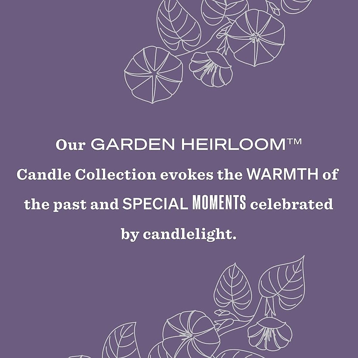 Mrs. Meyer's Clean Day Garden Heirloom Scented Soy Candle, Large, Moonflower Scent, 14 Ounce Candle